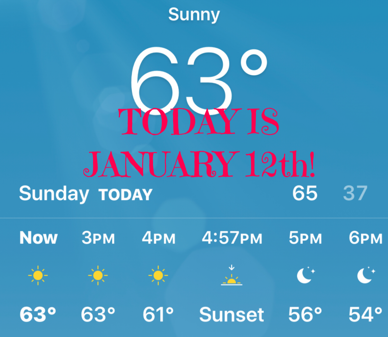 it’s just a lovely spring january day! – the nightgown gardener